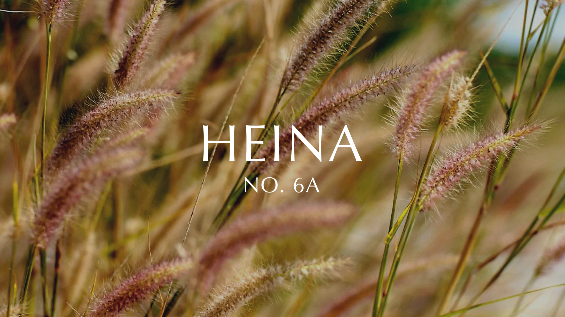 Avaleht - Heina 6a